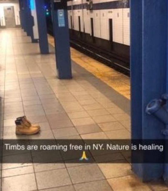 7 New York Memes That Hilariously Capture The Empire State Spirit