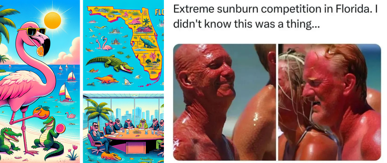 8 Florida Memes That Are As Wild As The Sunshine State Itself