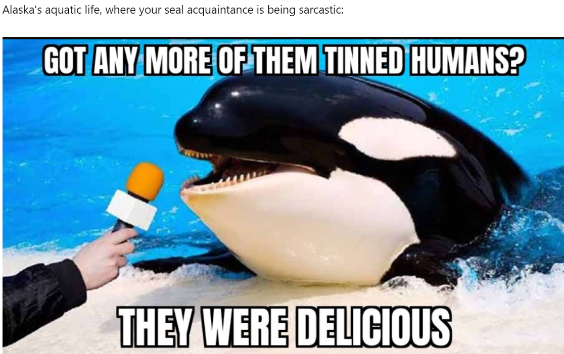 7 Alaska Memes That Perfectly Sum Up Life in The Last Frontier