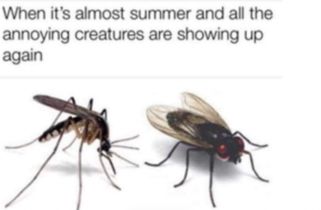 8 Delaware Memes That Hilariously Capture Small State Charm