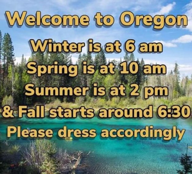 6 Oregon Memes That Nail The Beaver State's Quirky Vibe
