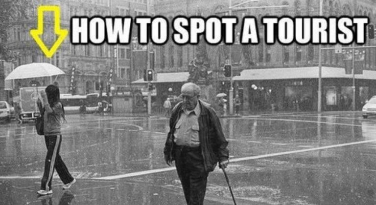 6 Oregon Memes That Nail The Beaver State's Quirky Vibe